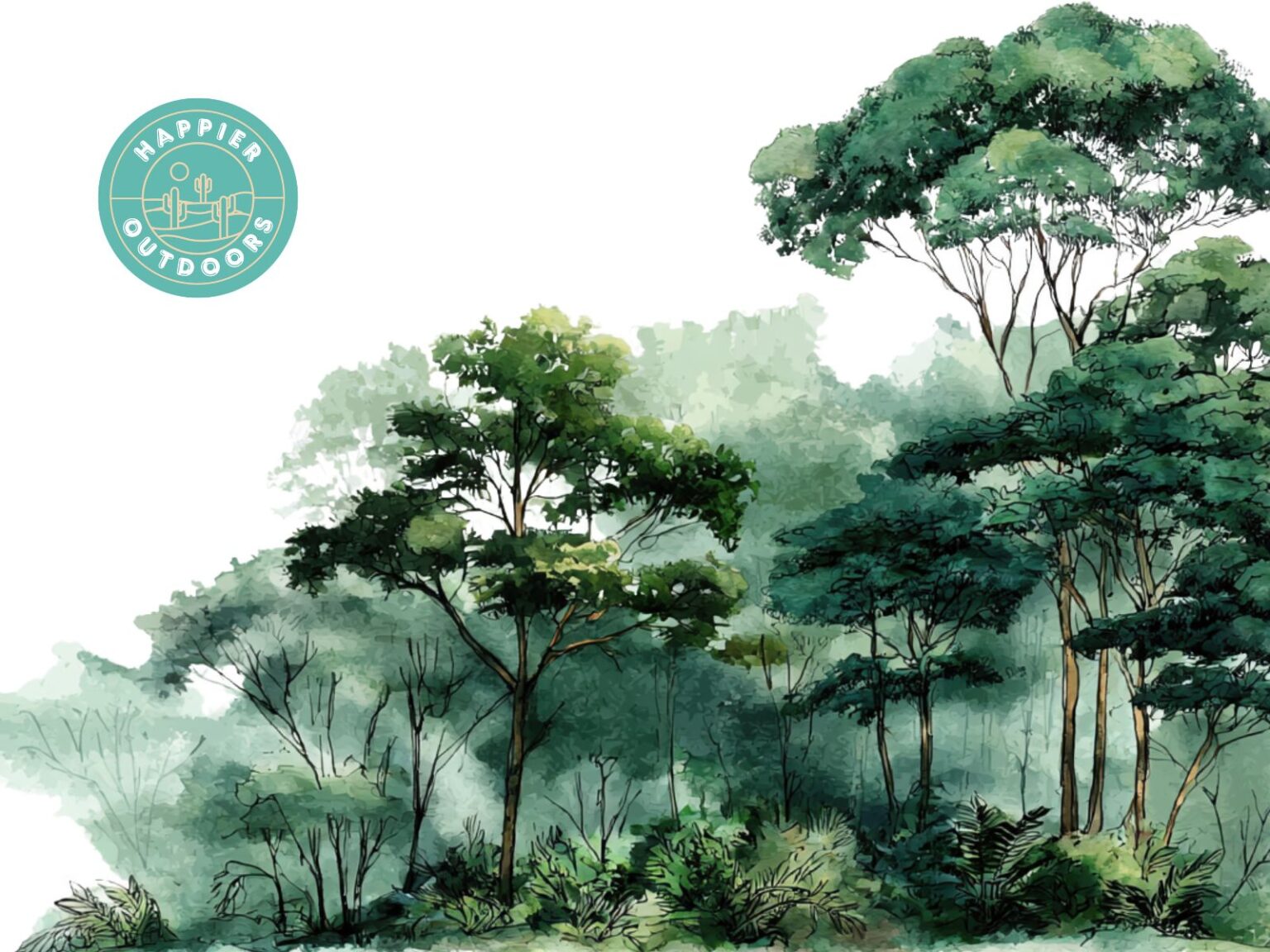 Nature Journal Prompts: 50 Ideas For Outdoor Observation | Happier Outdoors